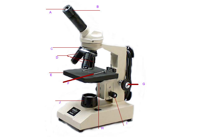 microscopy