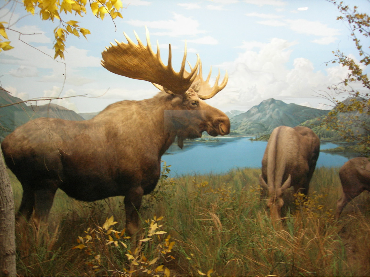 Natural History Museum, LA