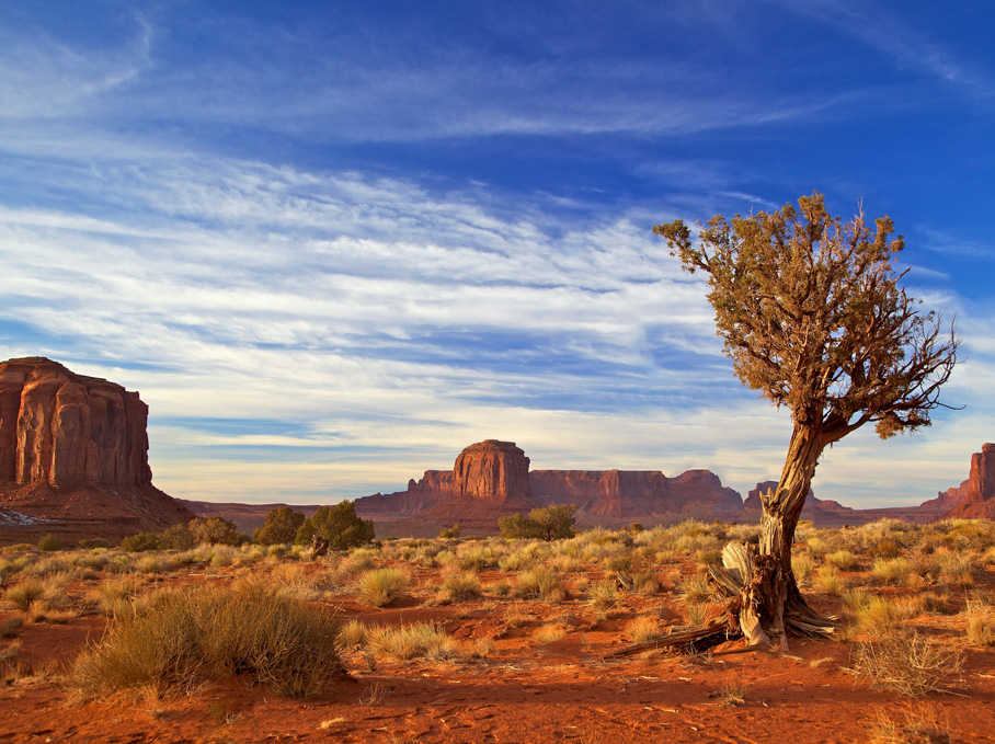 Plunk's Page (Scott Plunkett)